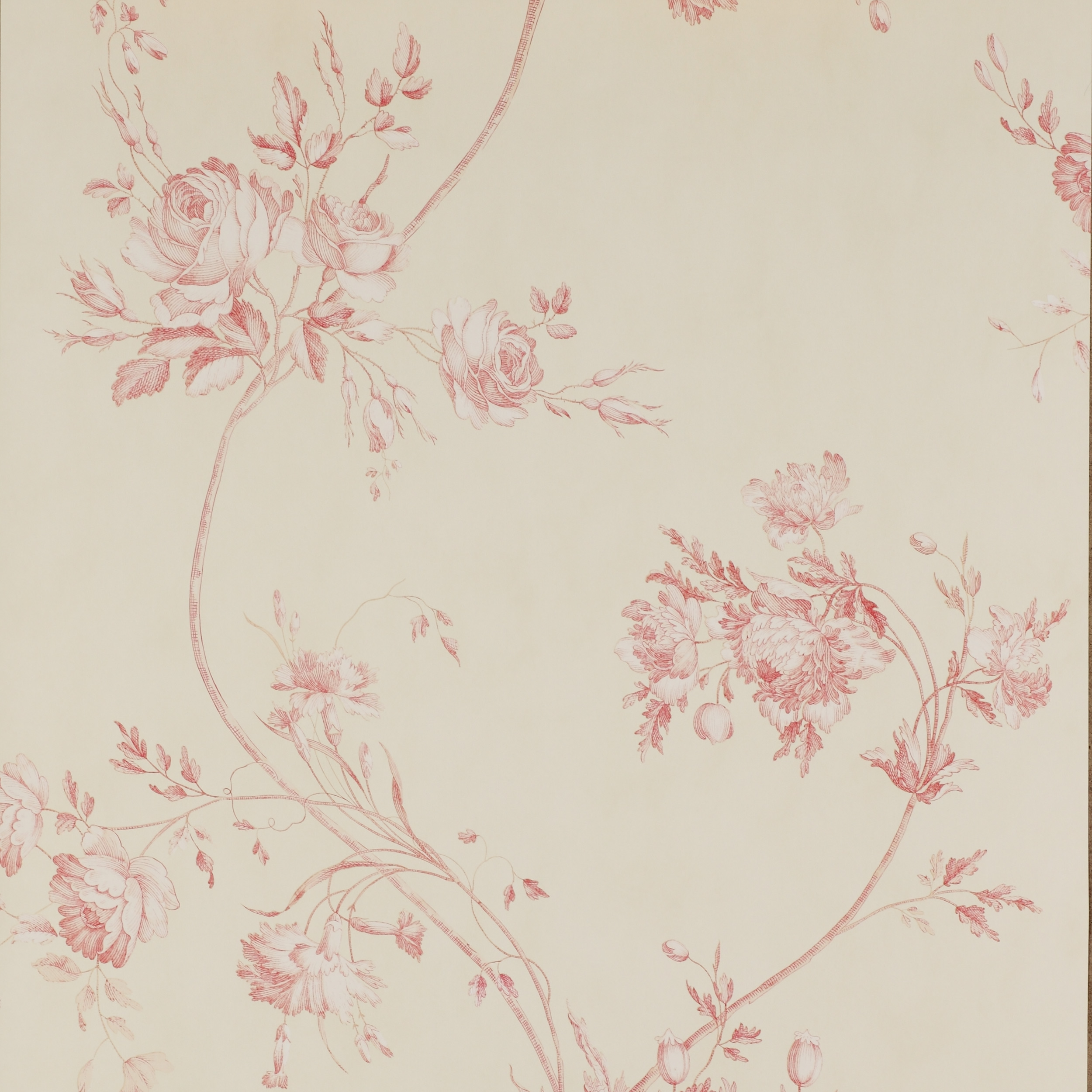 Darcy Wallpaper in Navy by Colefax and Fowler