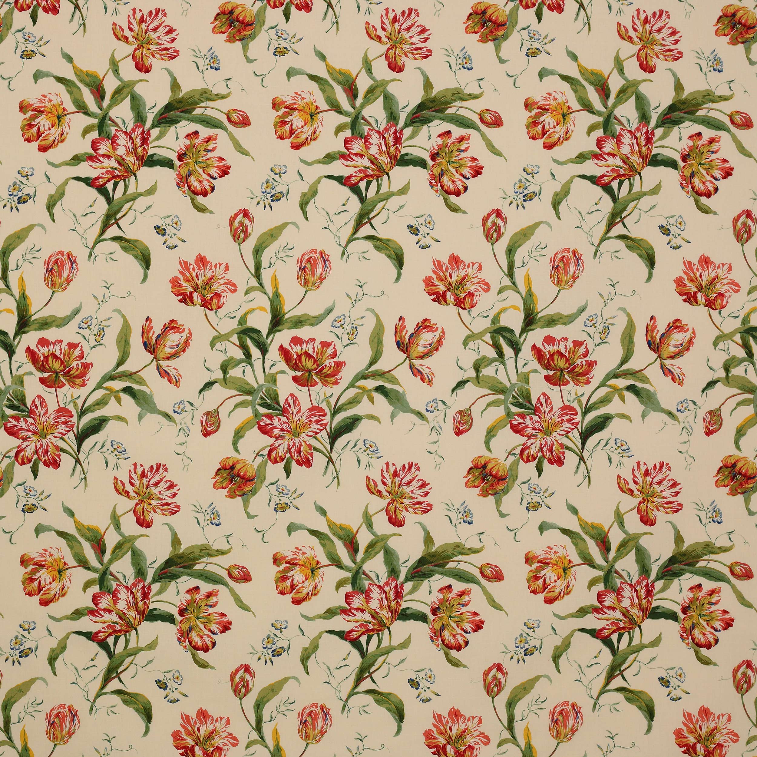 Delft Tulips Fabric in Pink/Green by Colefax and Fowler