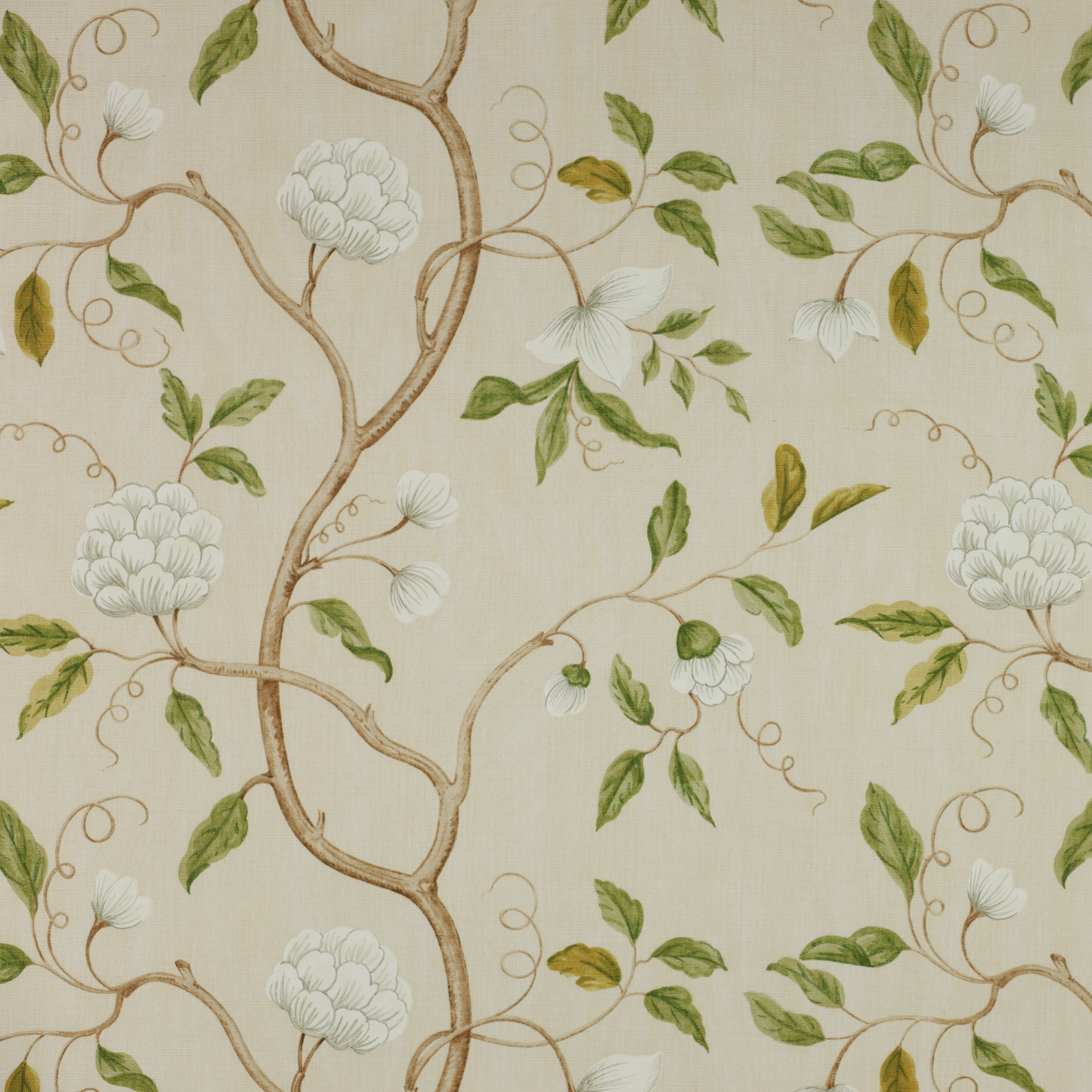 Colefax And Fowler Fabrics