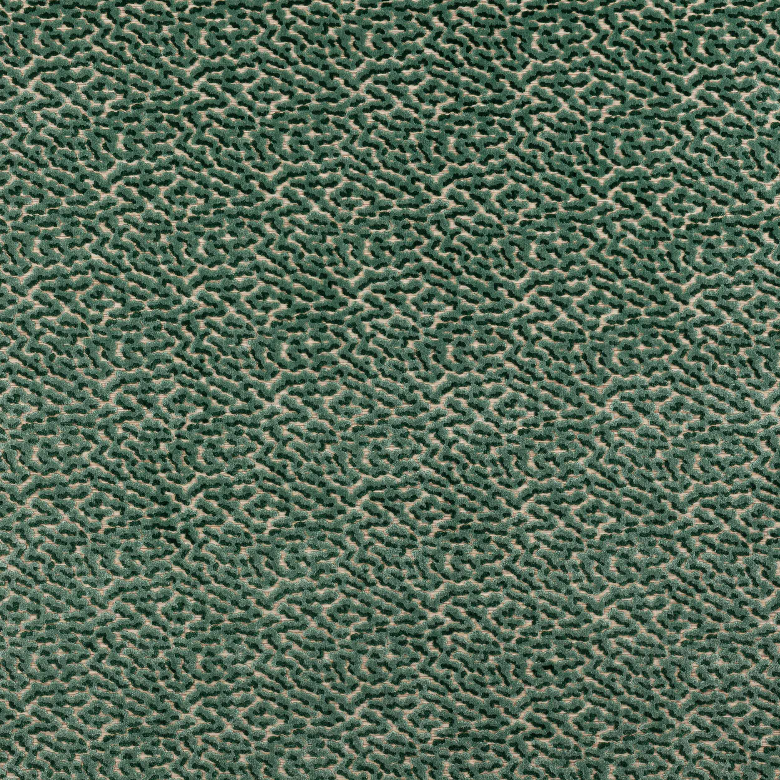 Kemble Fabric in Aqua by Colefax and Fowler