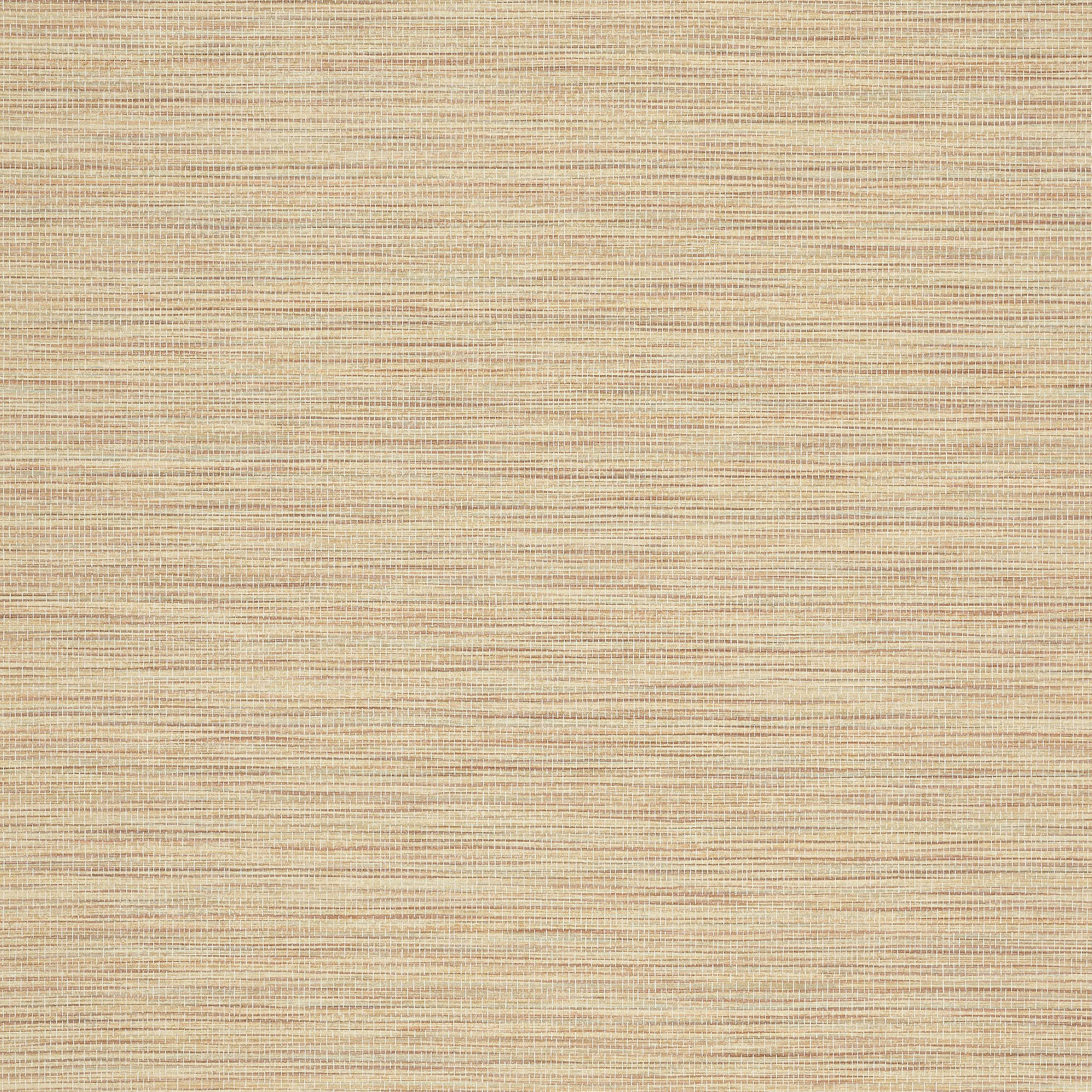 Rafferty Wallpaper in Terracotta by Jane Churchill