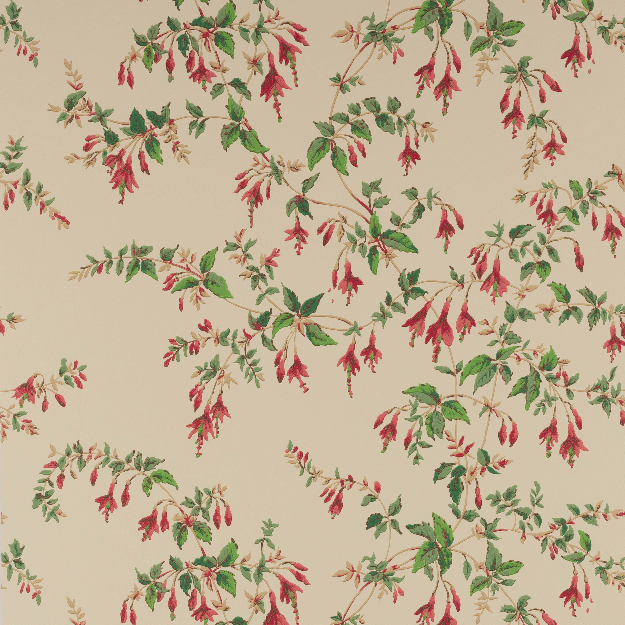 Fuchsia Wallpaper in Pink/Green by Colefax and Fowler