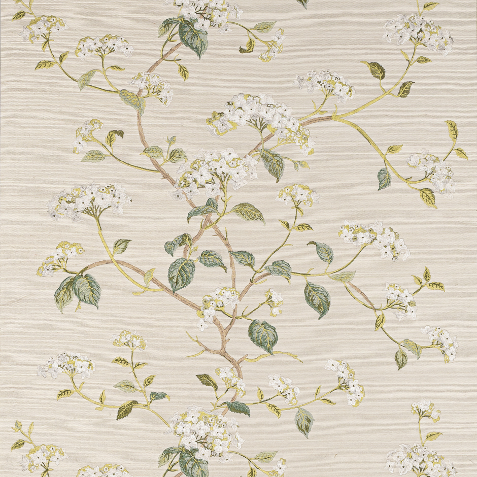Summerby Sisal Wallpaper in Celadon by Colefax and Fowler